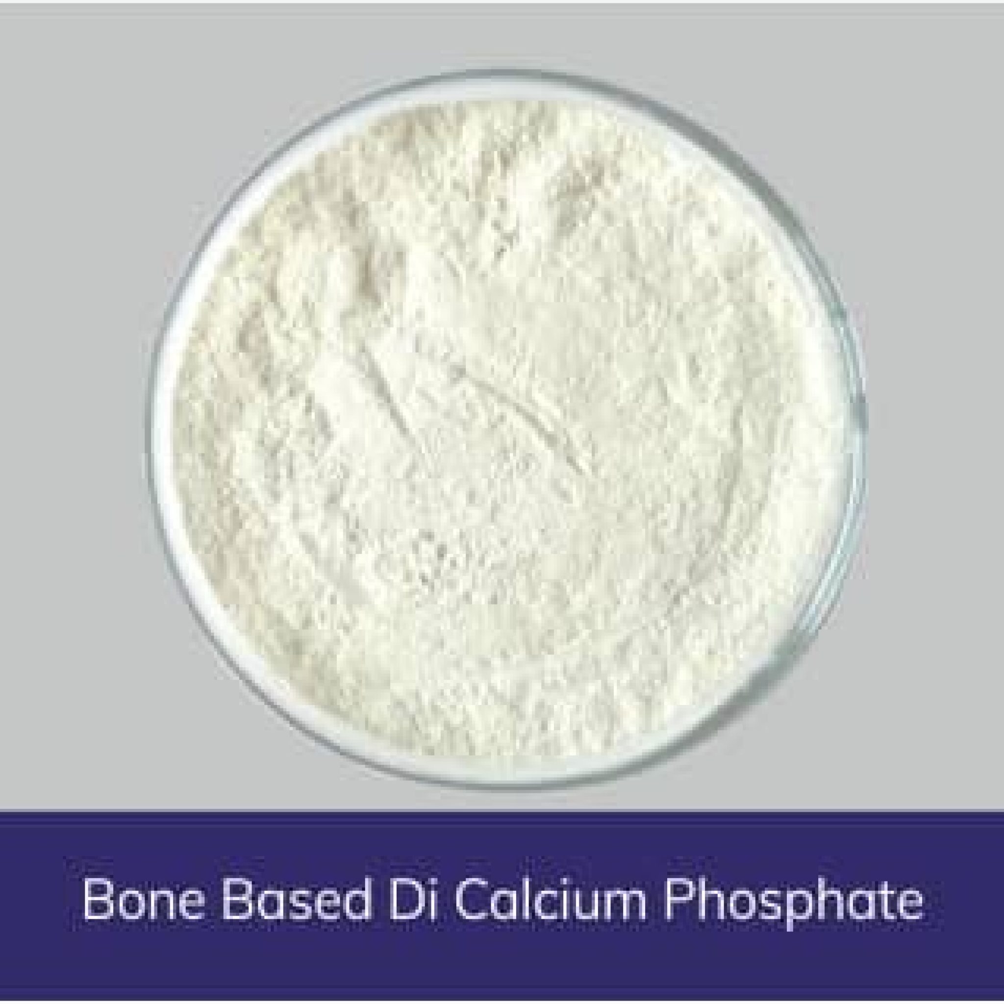 Dicalcium Phosphate for Cattle - A Perfect Supplement to Stimulate Your ...